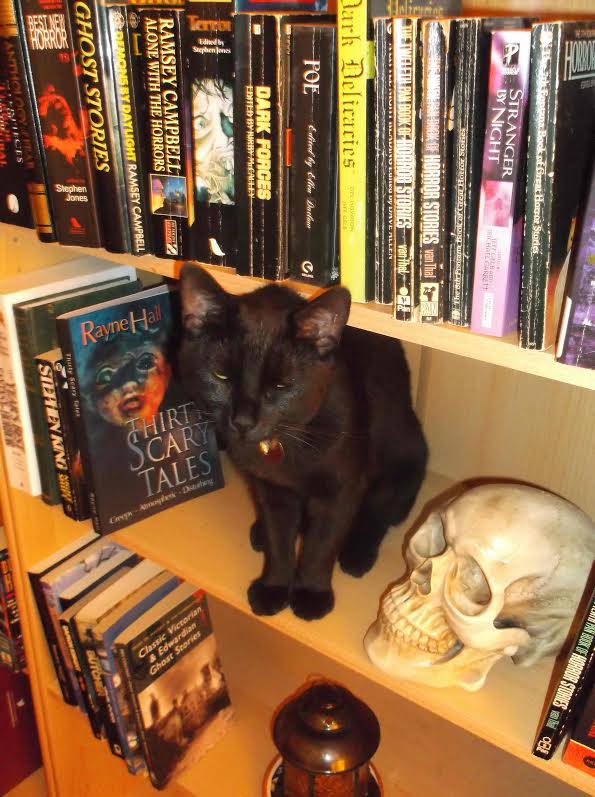 The Reading Voracity of Author Rayne Hall – The Writing Train: Join the ...